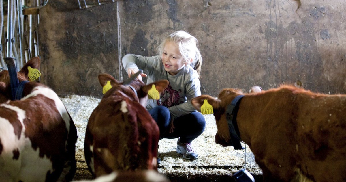 Family farming: the key to food production in Norway