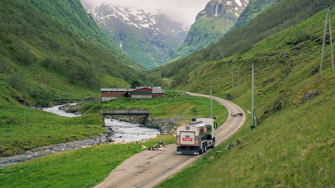 TINE Handel – vår kundeportal for bedrifter