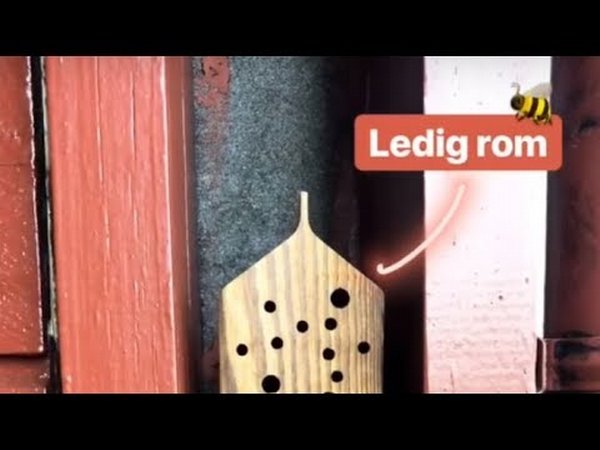 Hvordan henge opp biehuset Hvordan henge opp biehuset