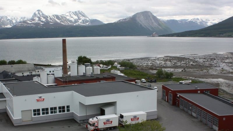Ost & smør