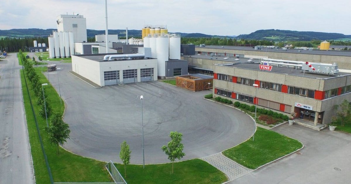 TINE Meieriet Verdal