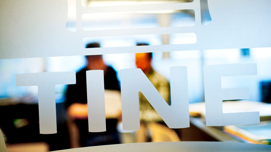 TINE Gruppa