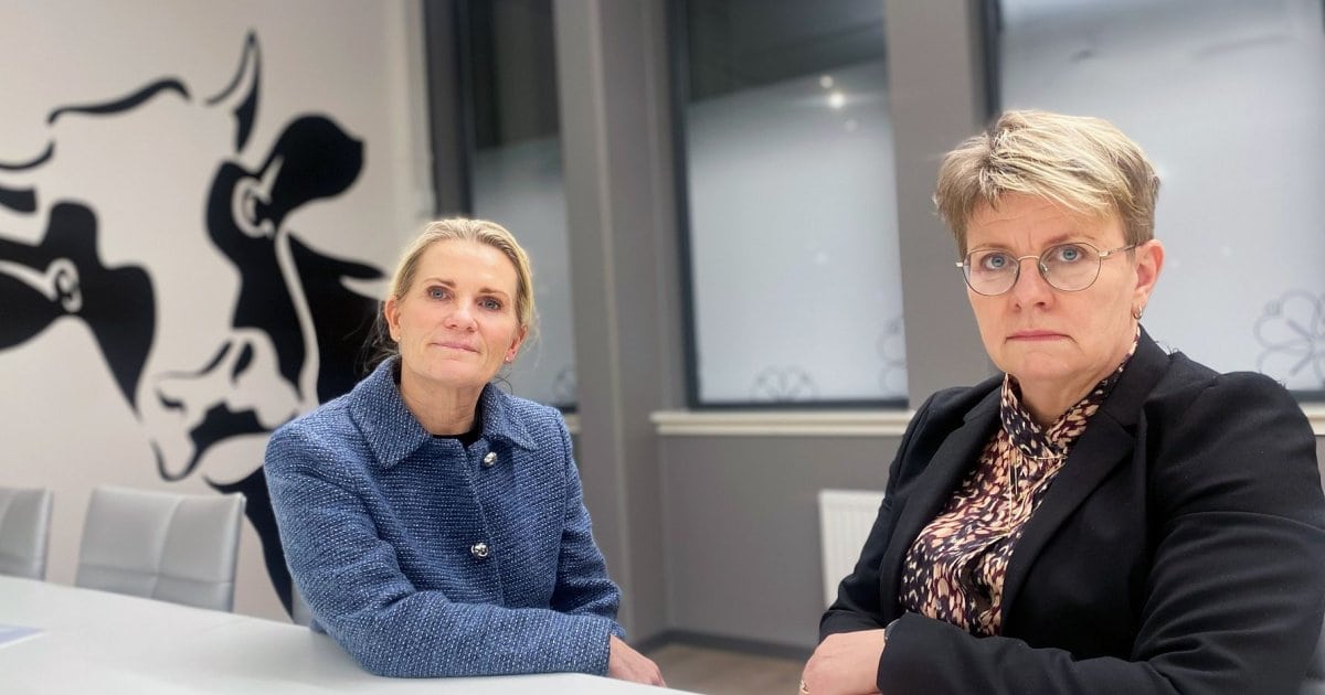 TINE investerer over 2 milliarder kroner i norsk hvitostproduksjon