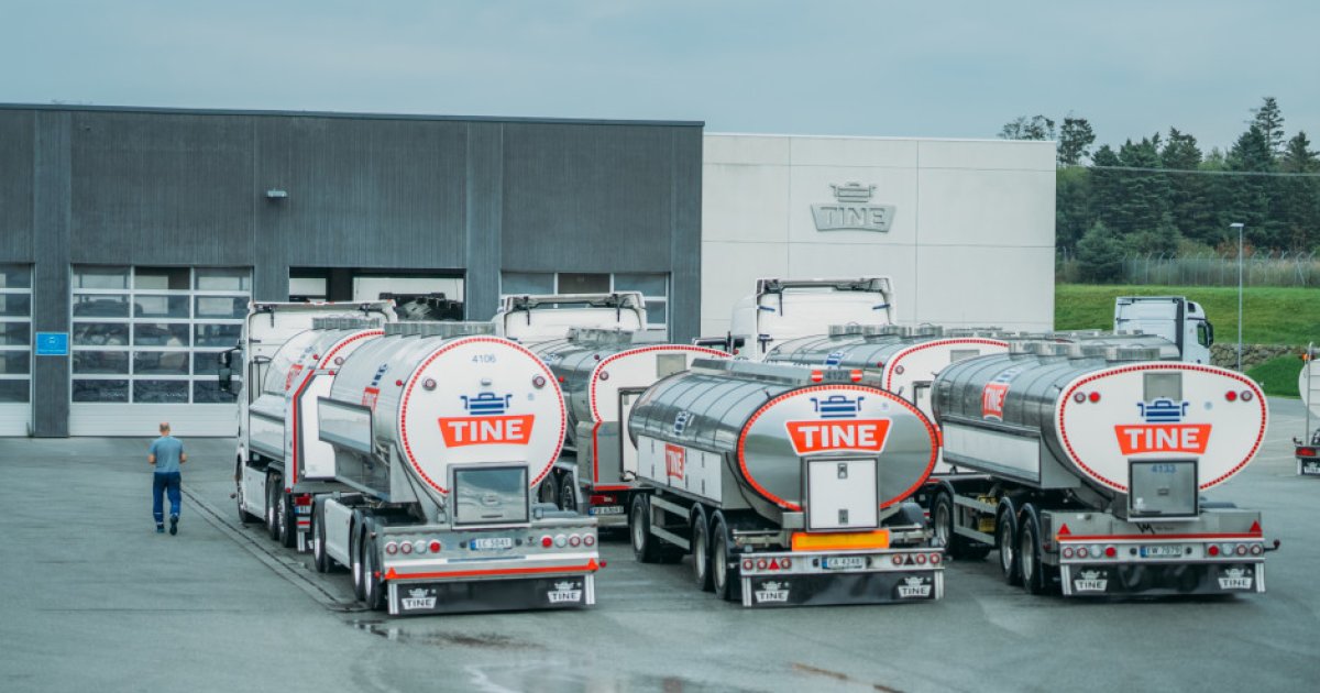 TINEs 2. tertial byr på godt - og på dårlig nytt